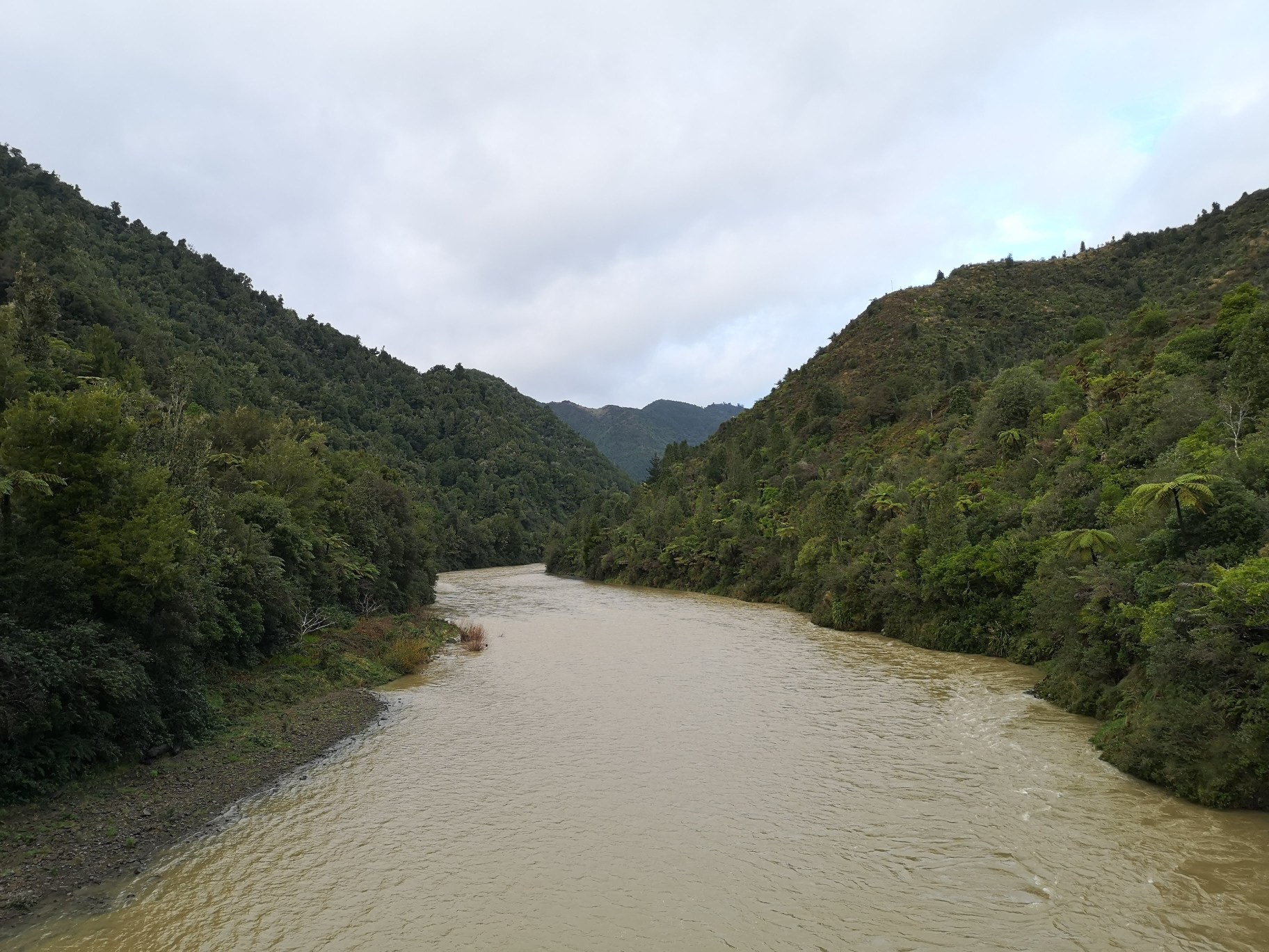 New Zealand: The Waioeka Gorge | I Don't Have The Map