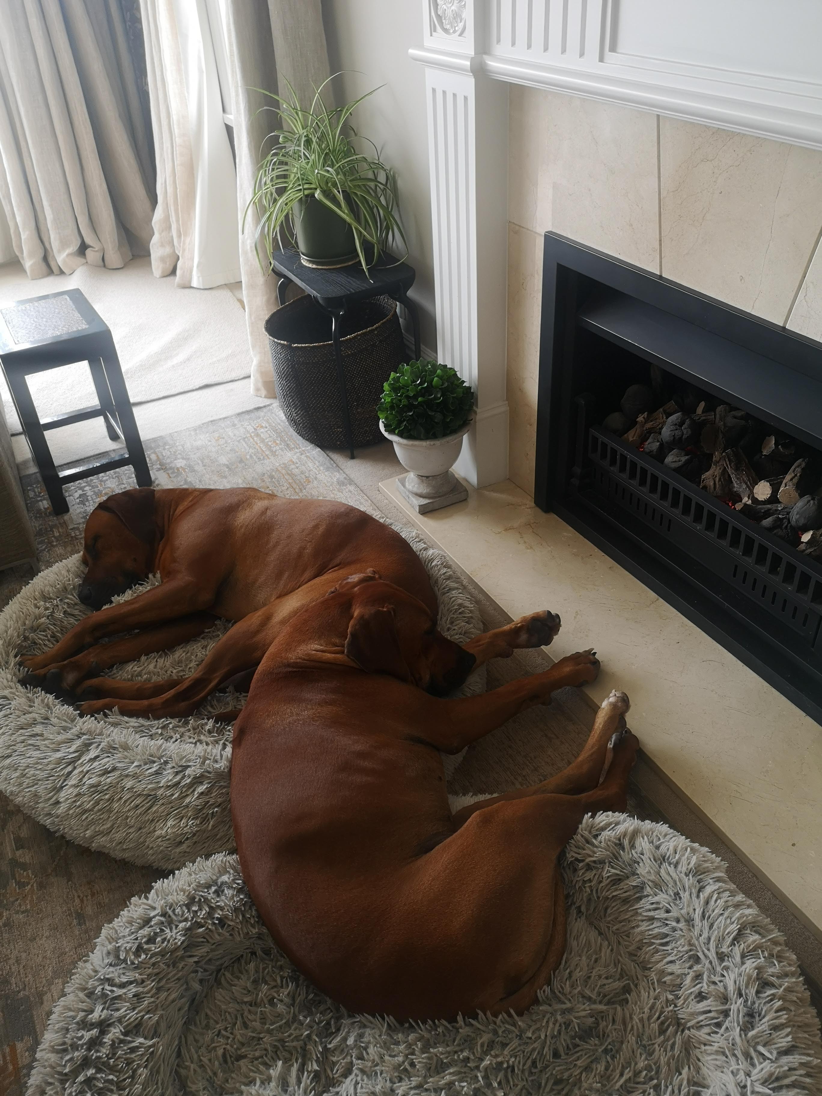 New Zealand: Alpha Hut | I Don't Have The Map